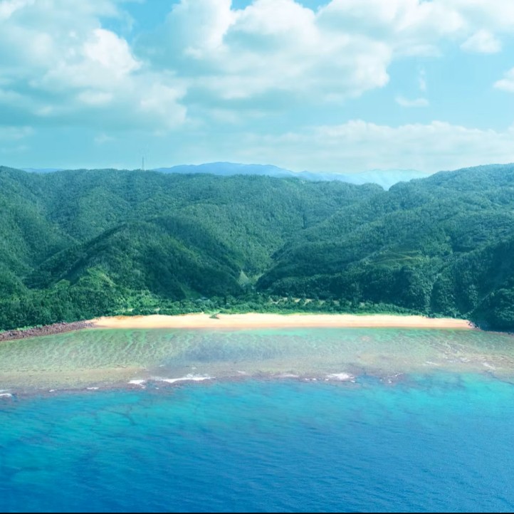 奄美温泉 大和 ハナハナビーチリゾート 求人・旅バイト｜旅で出会う、新しいカタチの仕事【おてつたび】